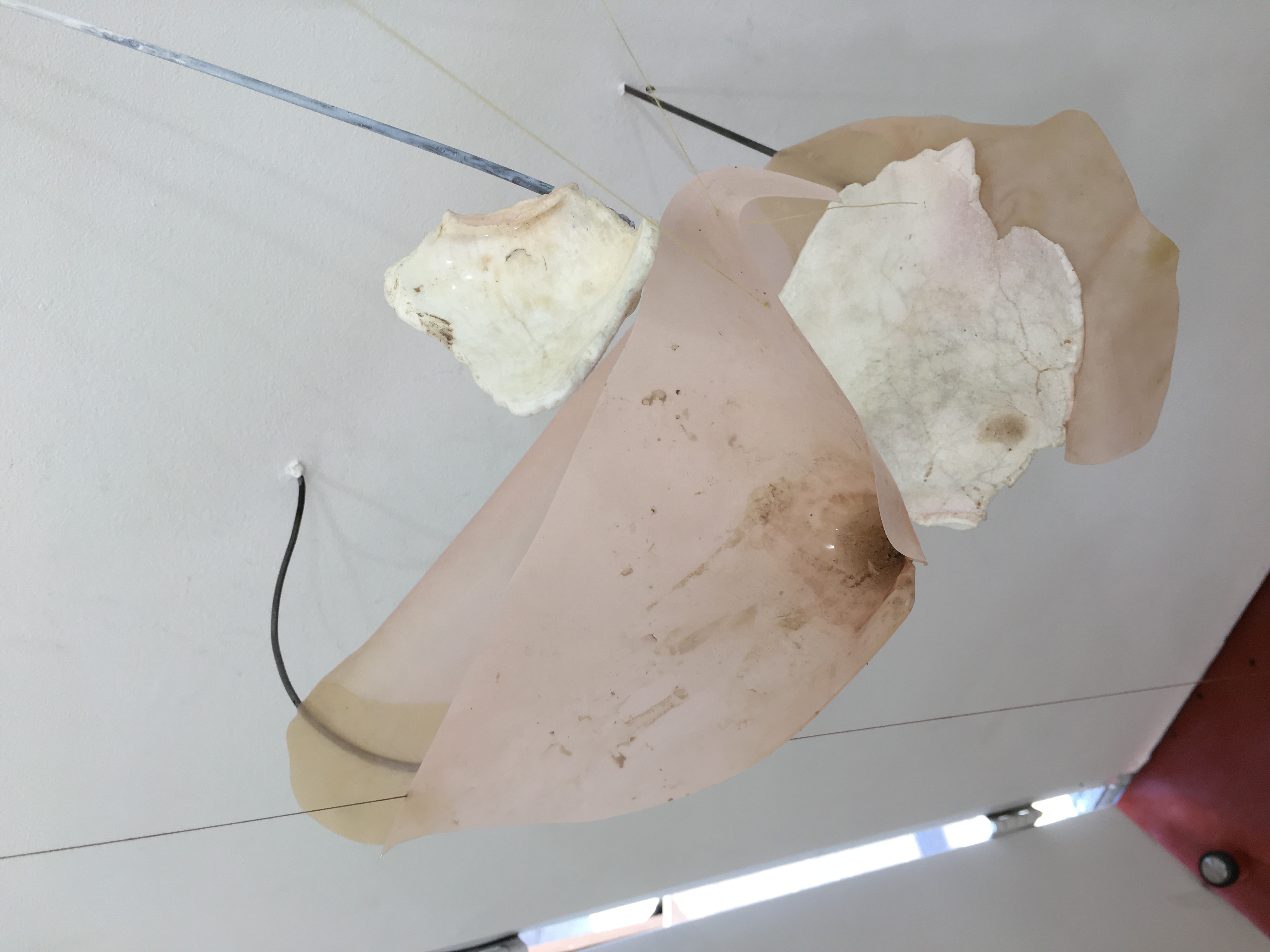 Alexandra Virginia Martin at Spaysky Fine Art Gallery LLC - runner magazine